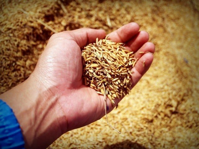 The Budwig Protocol Diet And Recipe - Diabetic Live